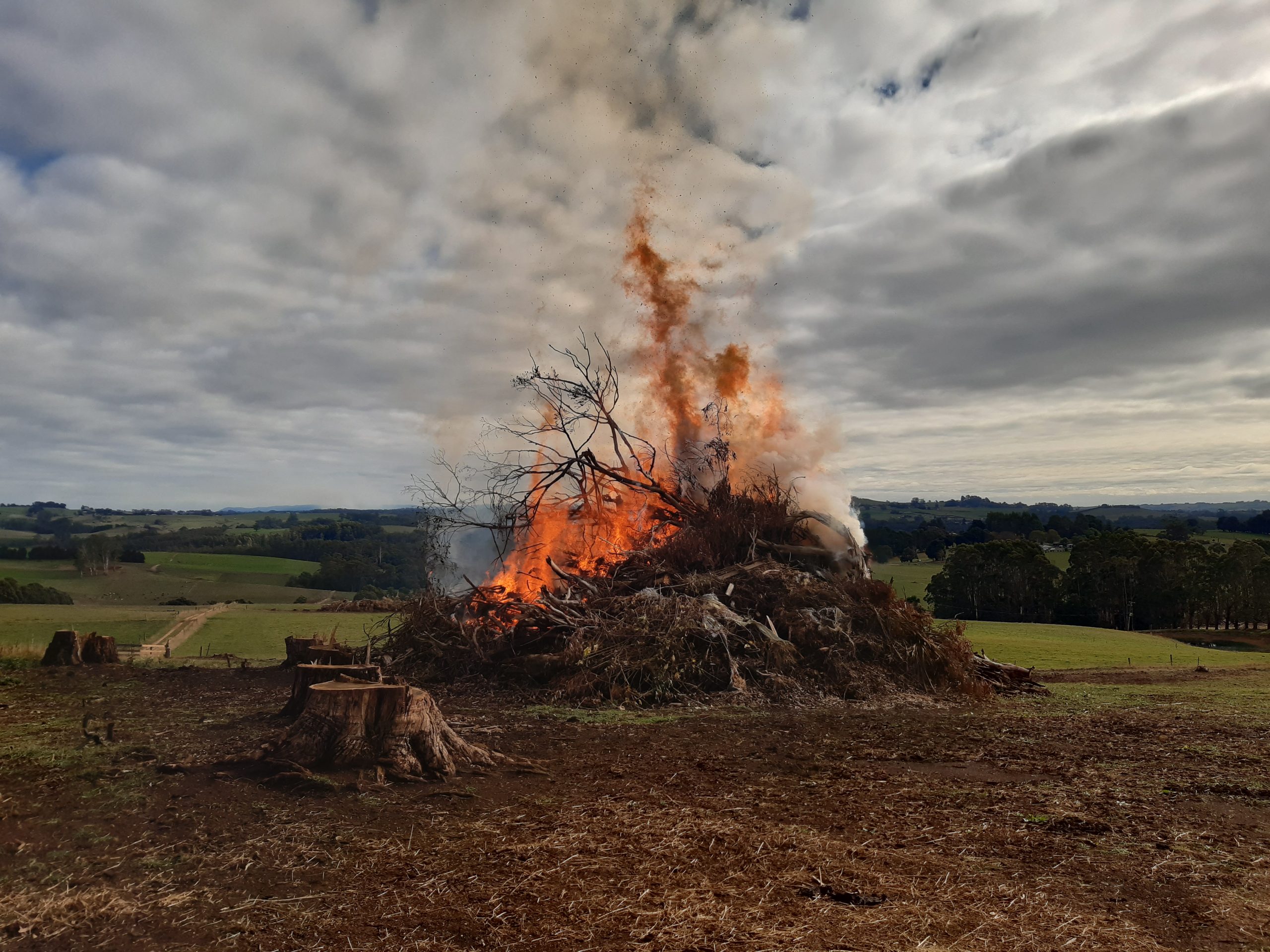 Burn Piles? What You Need to Know - State Fire Management Council